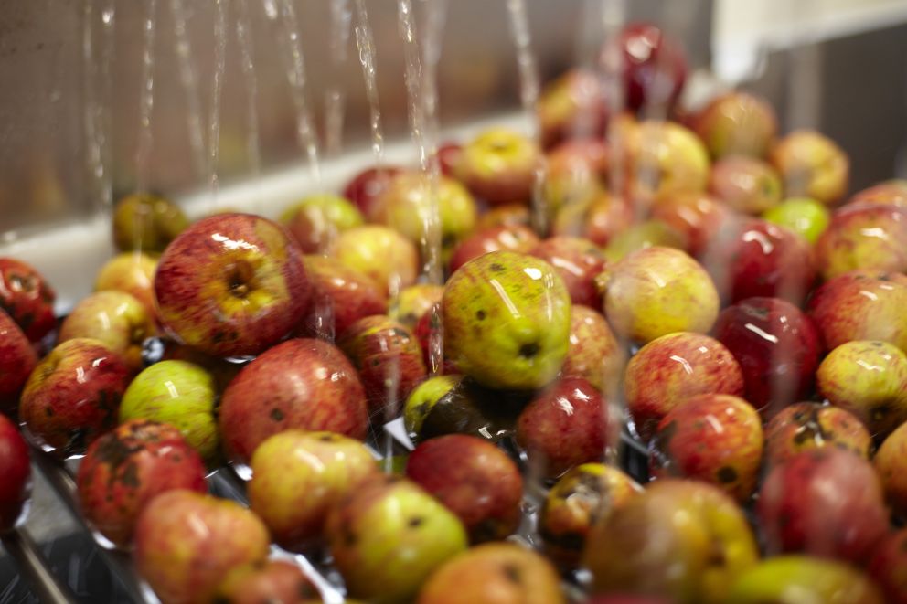 General Admission | Things To Do In Cornwall | Healeys Cyder Farm