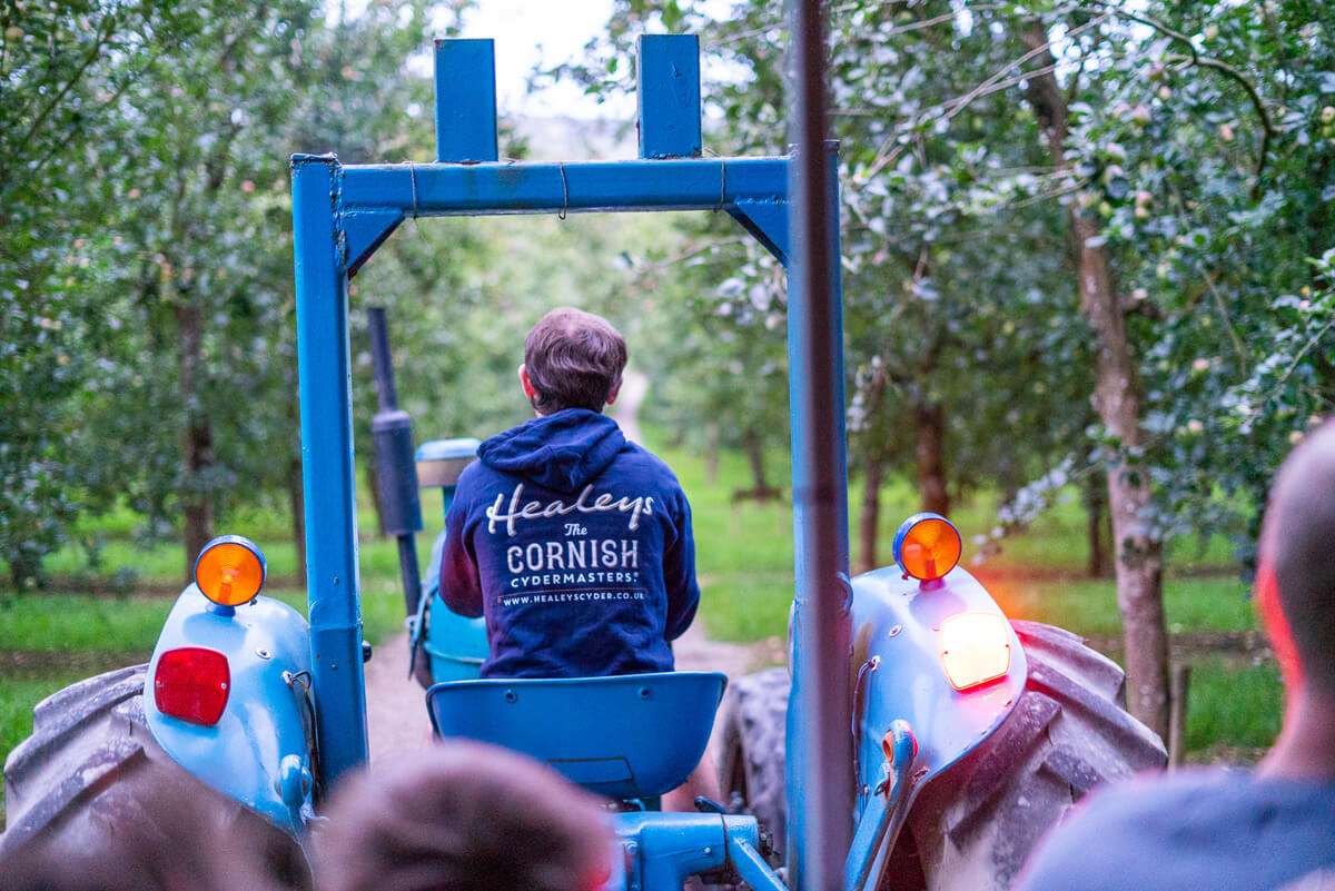 General Admission | Things To Do In Cornwall | Healeys Cyder Farm