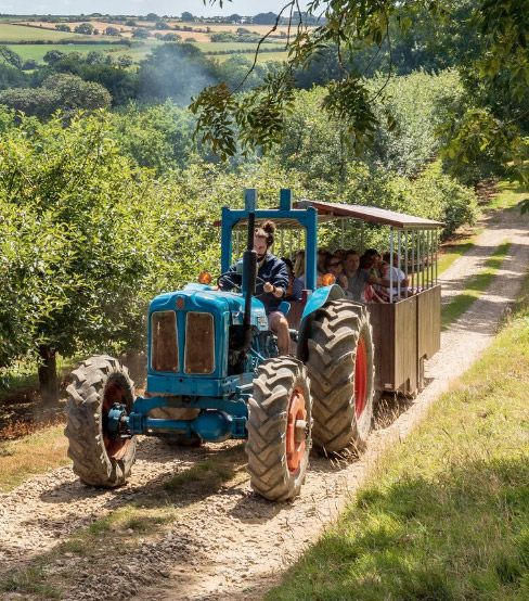 Visit Healeys Cyder Farm near Newquay | Days Out in Cornwall
