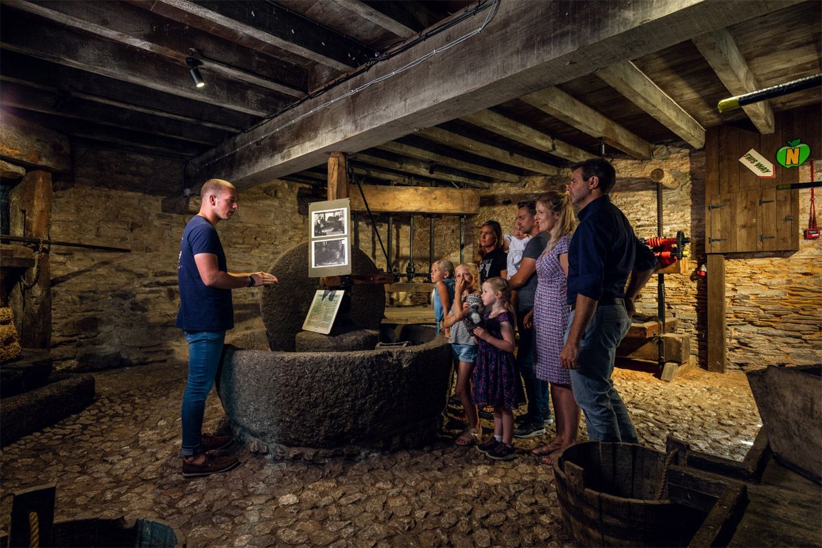 General Admission | Things To Do In Cornwall | Healeys Cyder Farm