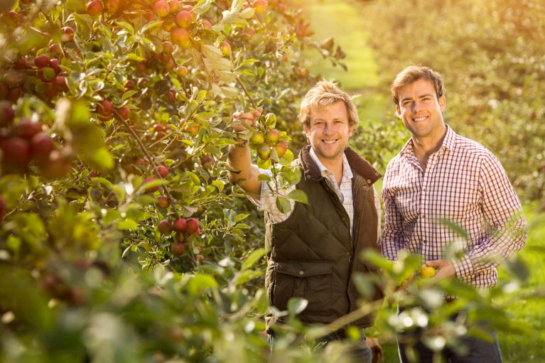 Discover The Story Behind Healeys Cyder Farm | Family-Owned Craft