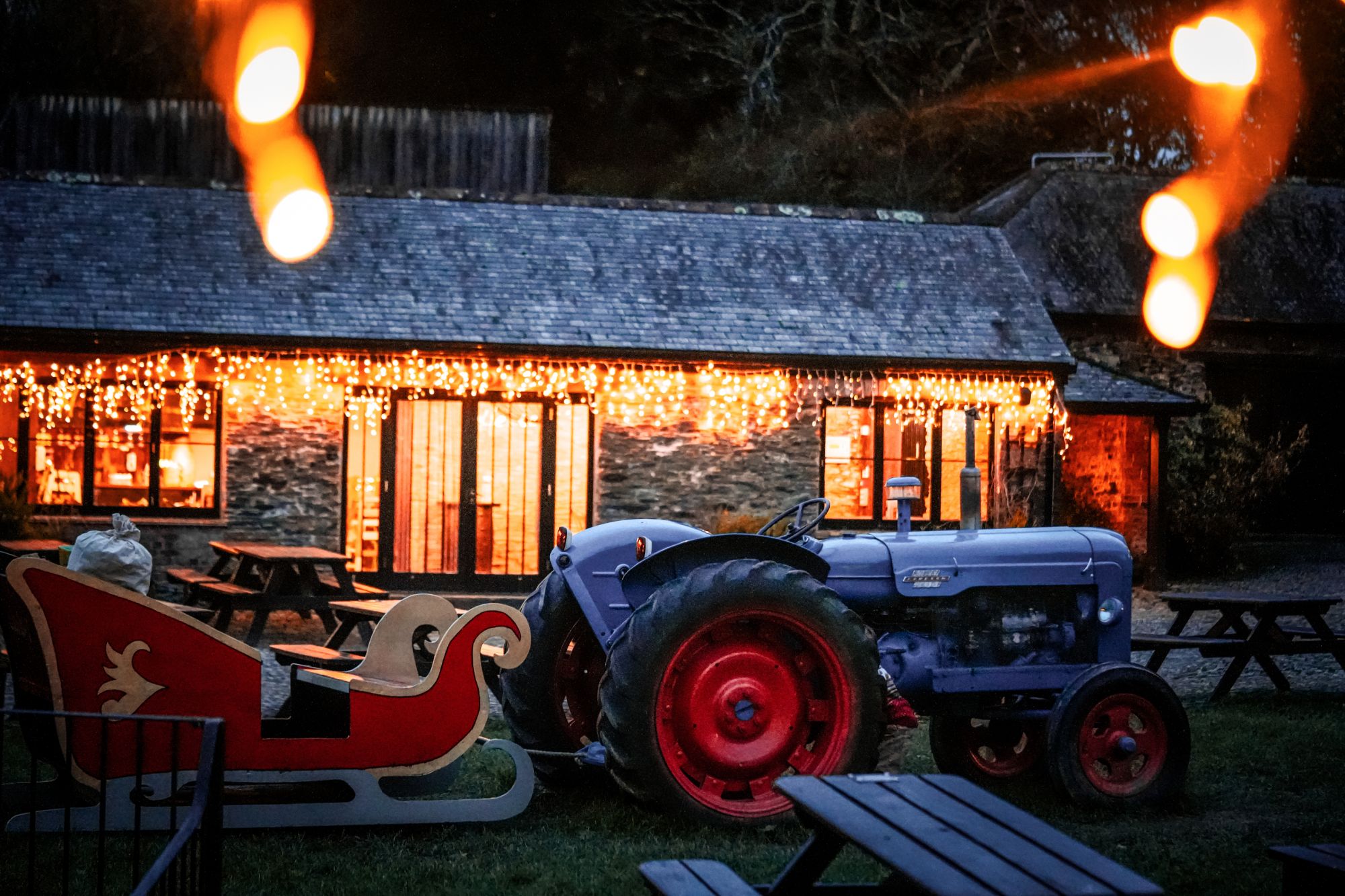 Rattler Cider - Cloudy Cornish Cyder | Healeys Cyder Farm