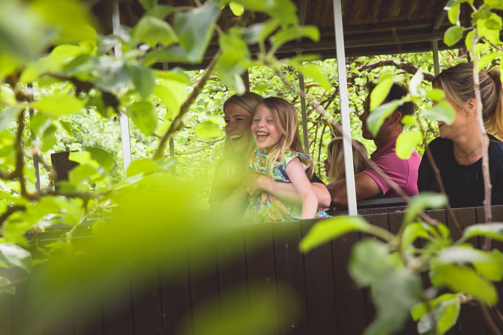 Summer at Healeys Cornish Cyder Farm | Cornwall | Healeys