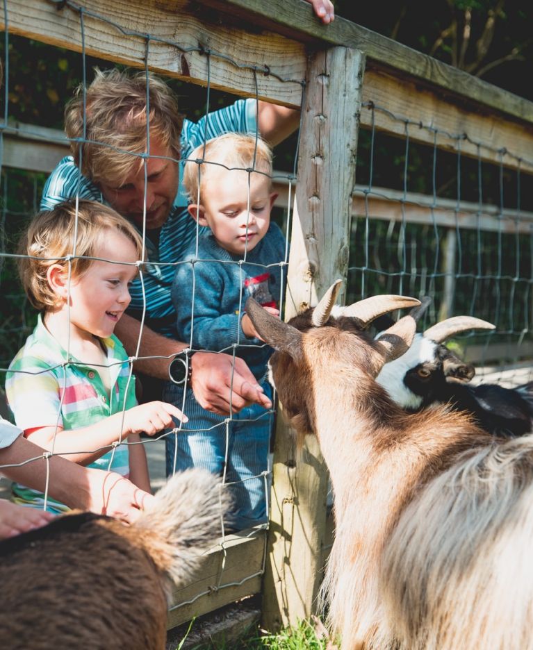 Cydermaster Pass | Things To Do In Cornwall | Healeys Cyder Farm