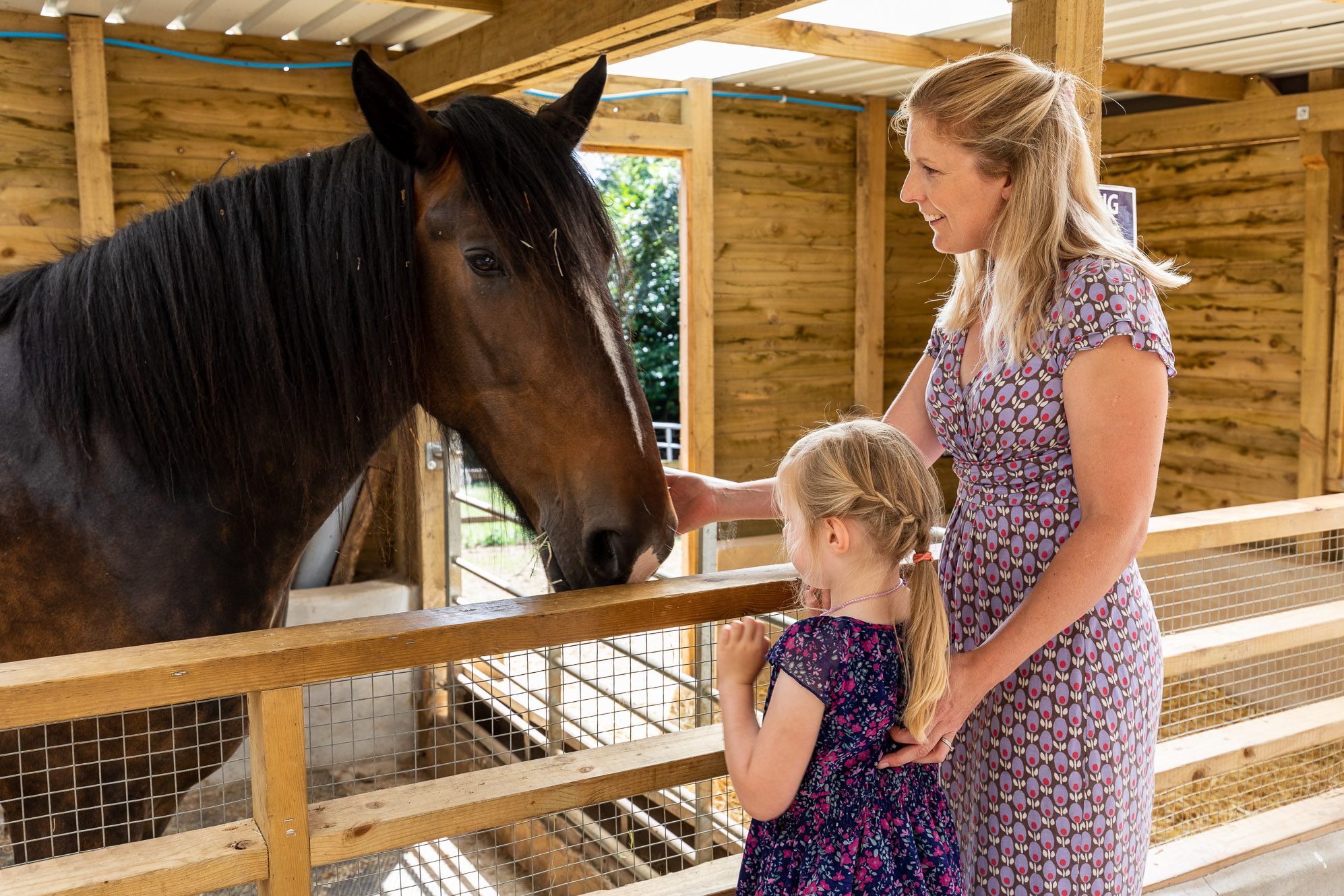 Free Entry To Healeys Cornish Cyder Farm | Cornwall